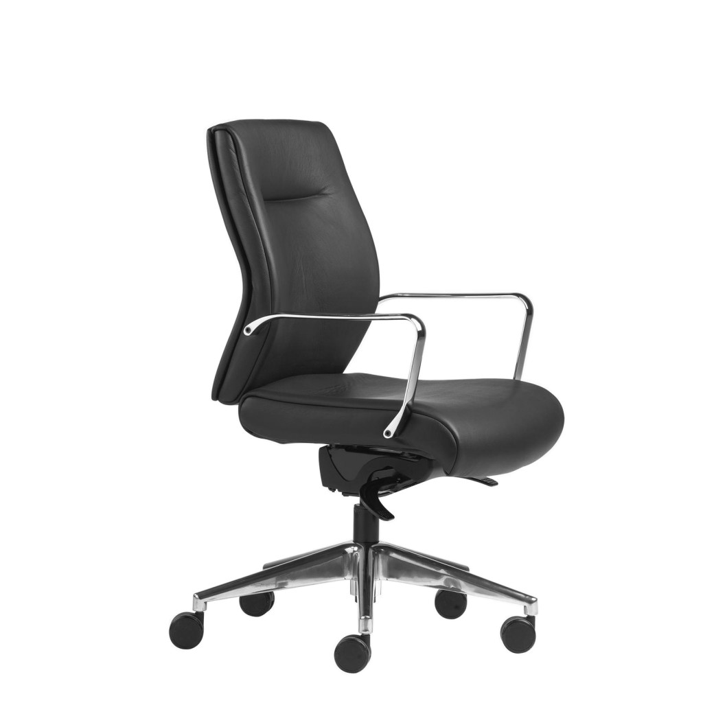 Linear Med Executive – Fixed Arms – Q Office Furniture Orange Dubbo ...